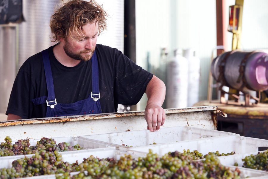 Impressive offerings from the Gippsland region – The Real Review