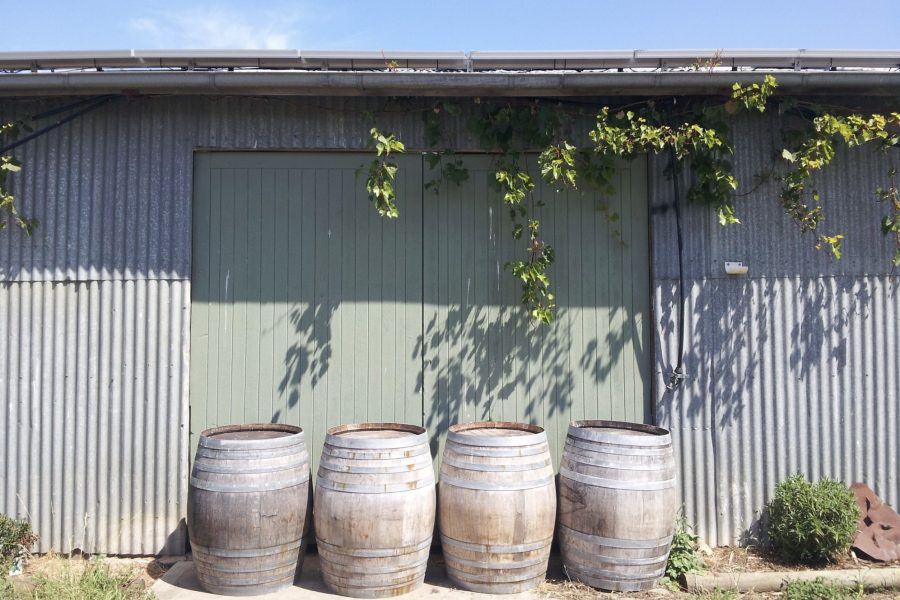 Pressing Matters’ bold, beautiful pinot noirs – The Real Review