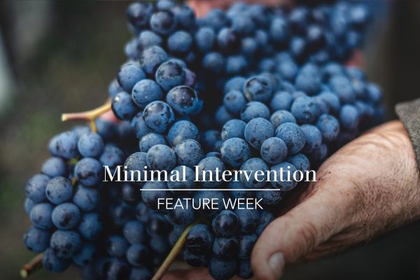 Introduction to minimal intervention – The Real Review