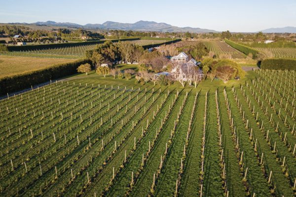 Intense, powerful Dry River – The Real Review