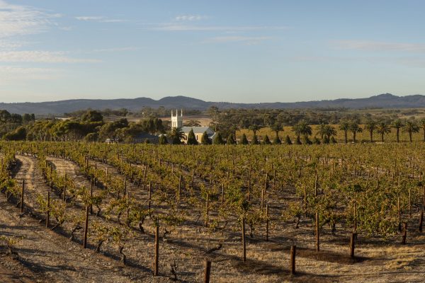 Torbreck’s polished and impressive icons – The Real Review