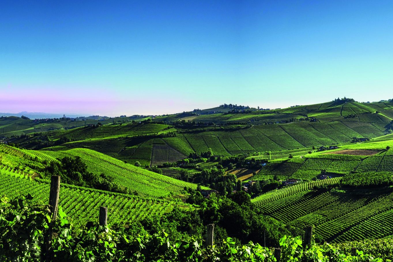 Introduction to Barolo & Barbaresco – The Real Review