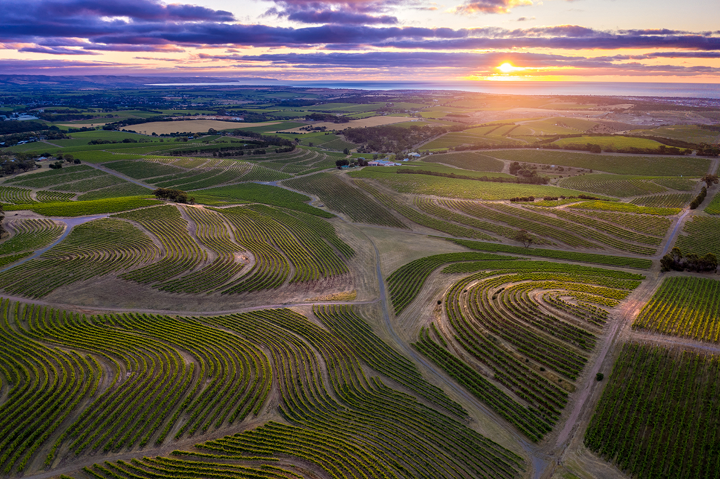 Introduction to McLaren Vale – The Real Review