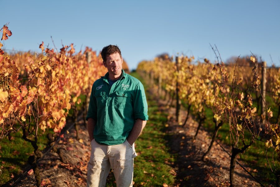 The best Wine by Farr – The Real Review