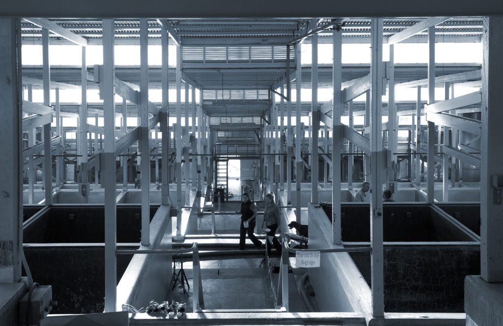 1888 Gravity Cellar, Seppeltsfield. Recommissioned – The Real Review