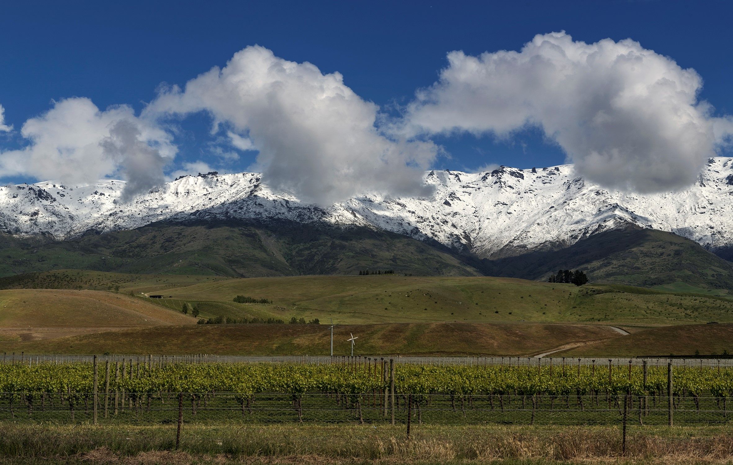Top Wineries of New Zealand 2022:Akarua – The Real Review