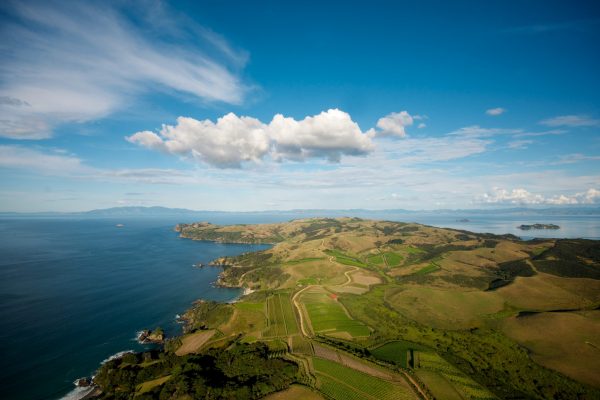 DSC_0163.tiff – The Real Review