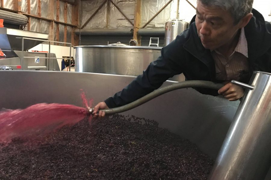 Top Wineries of New Zealand 2022:Kusuda Wines – The Real Review