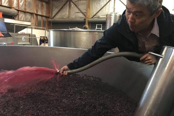 Top Wineries of New Zealand 2022:Kusuda Wines – The Real Review