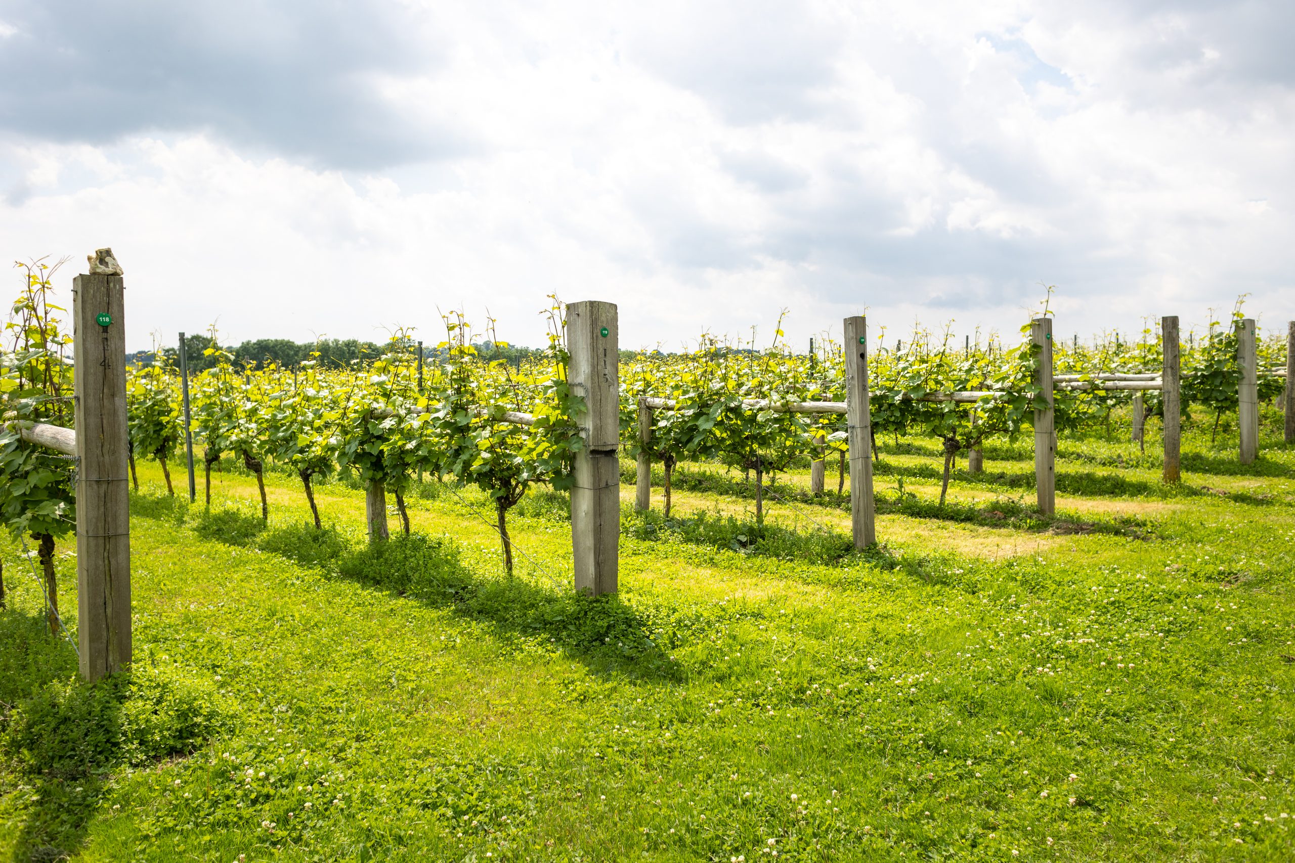 Langham recycled end posts made from Green Heart Wood from Portland ...