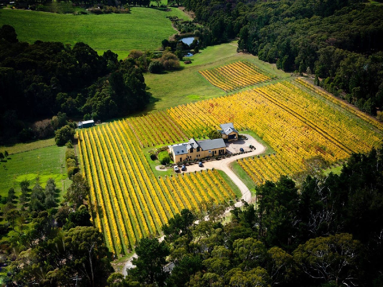 Huon Hooke – The Real Review