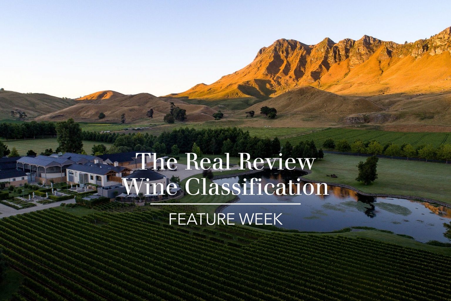 Wine – The Real Review