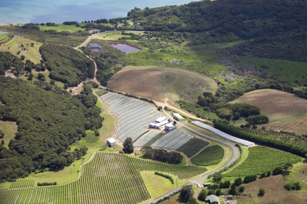 A date with Destiny Bay – The Real Review