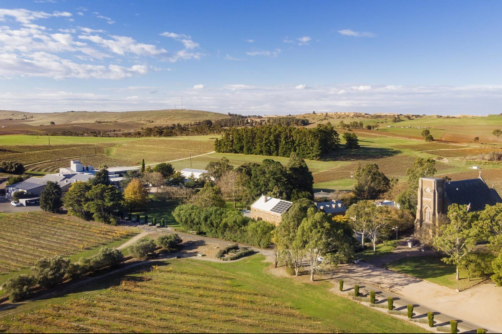 Introduction to the Clare Valley – The Real Review