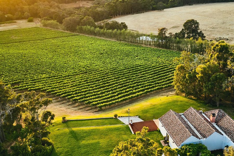 Credaro’s rich Margaret River history – The Real Review