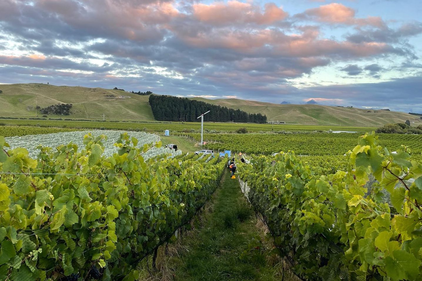 Eaton’s savvy nature – The Real Review