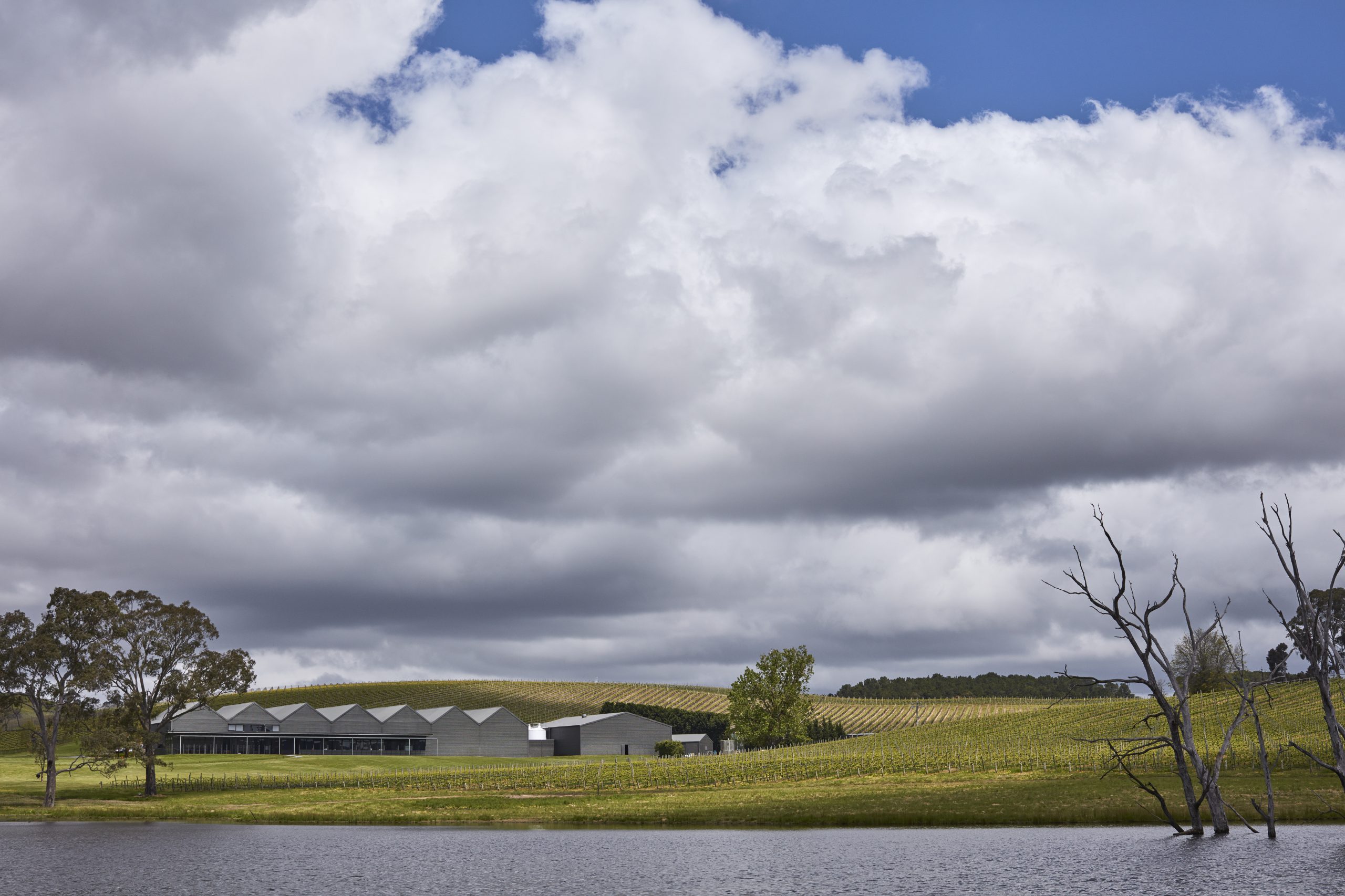 Shaw + Smith Image – Landscape – Balhannah Vineyard and Winery – The ...