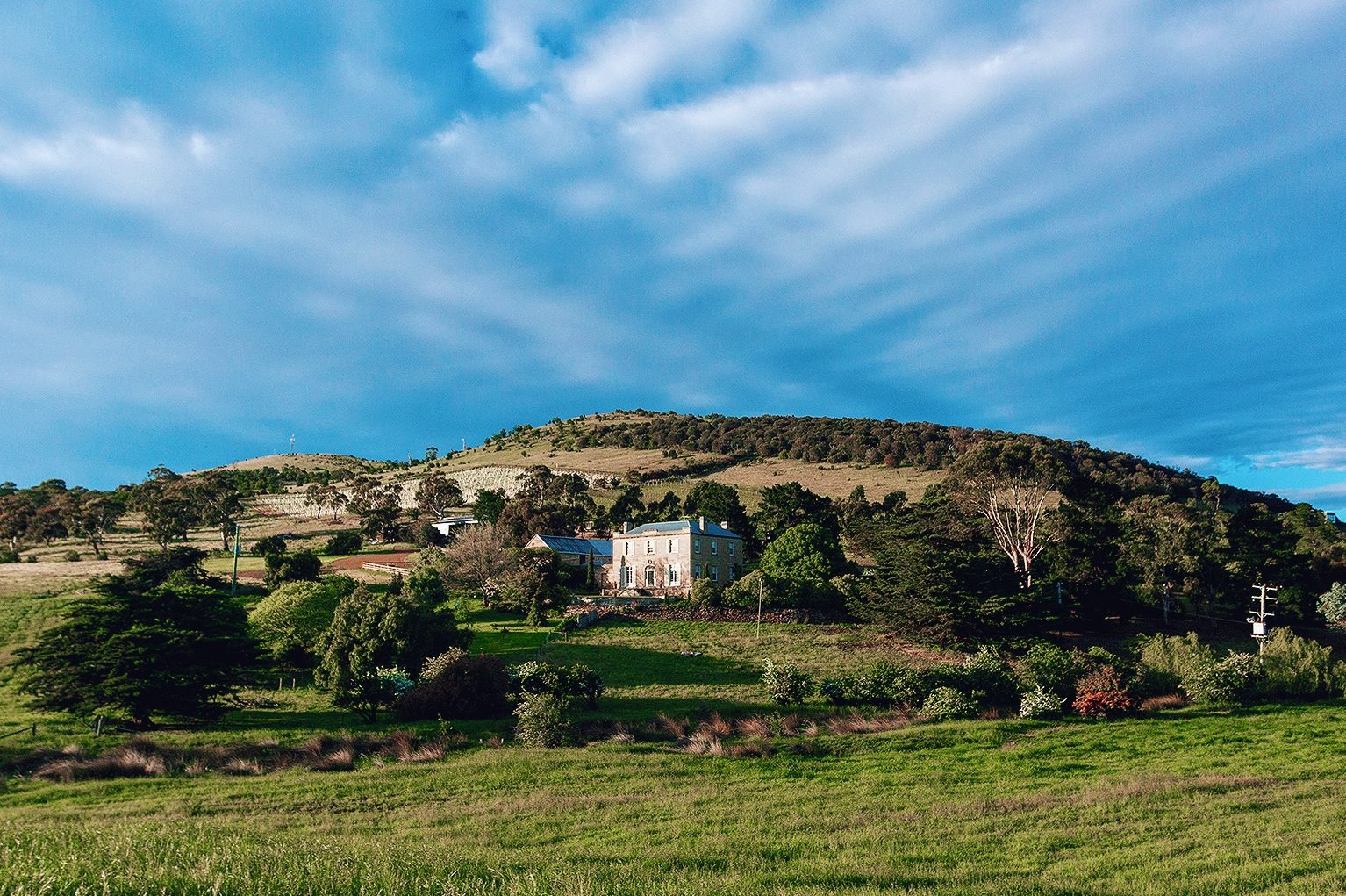 Top Wineries of Australia 2024:Pooley Wines – The Real Review