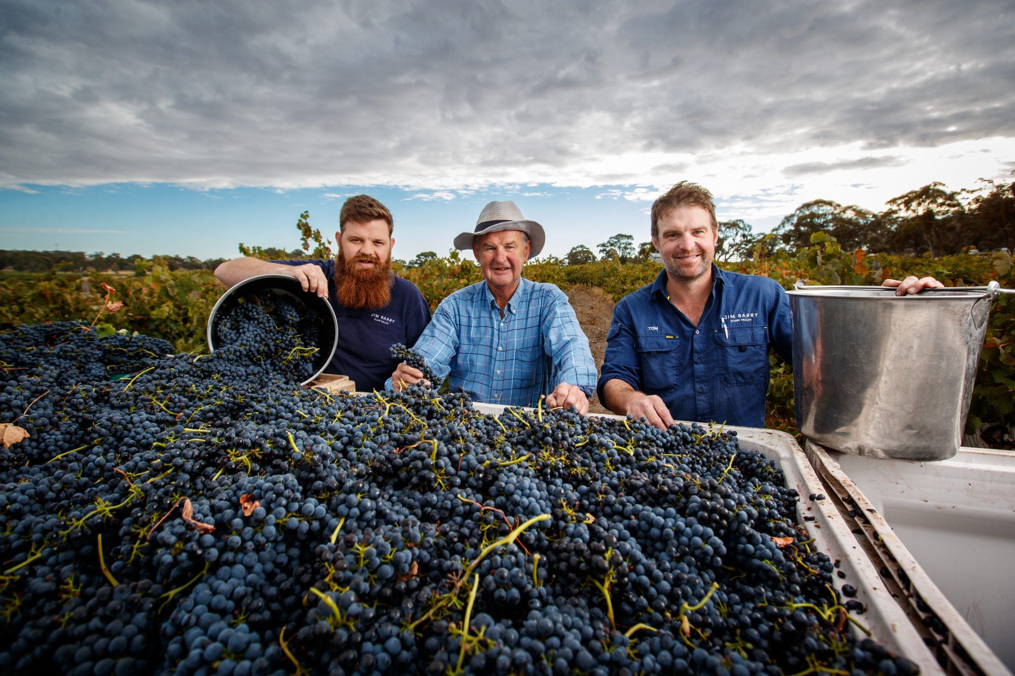 Top Wineries of Australia 2023: 29 to 32 – The Real Review