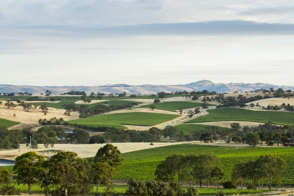 Top Wineries of Australia 2023:Hentley Farm – The Real Review