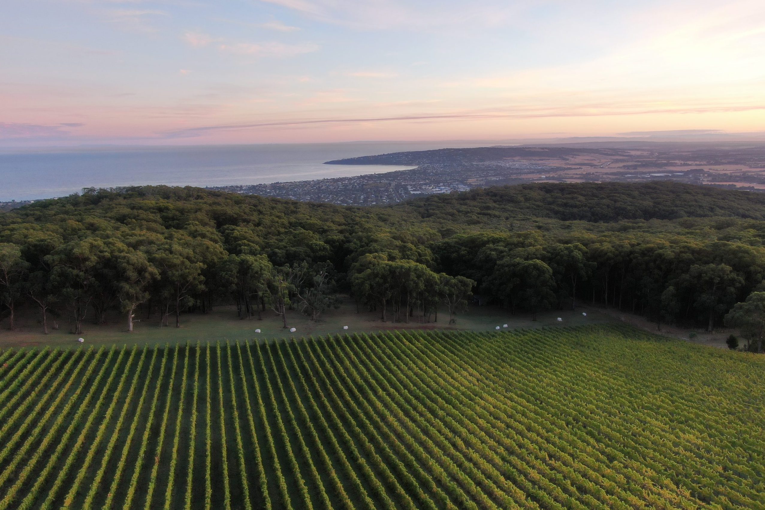 Dawnview_MillHill_3 – The Real Review