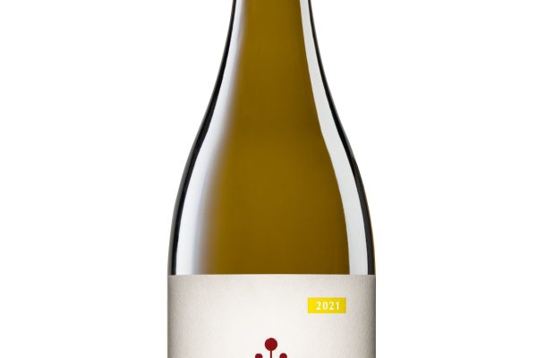 chardonnay 2021 – The Real Review