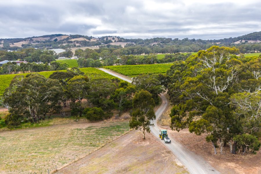 Top Wineries of Australia 2023:Yangarra Estate – The Real Review