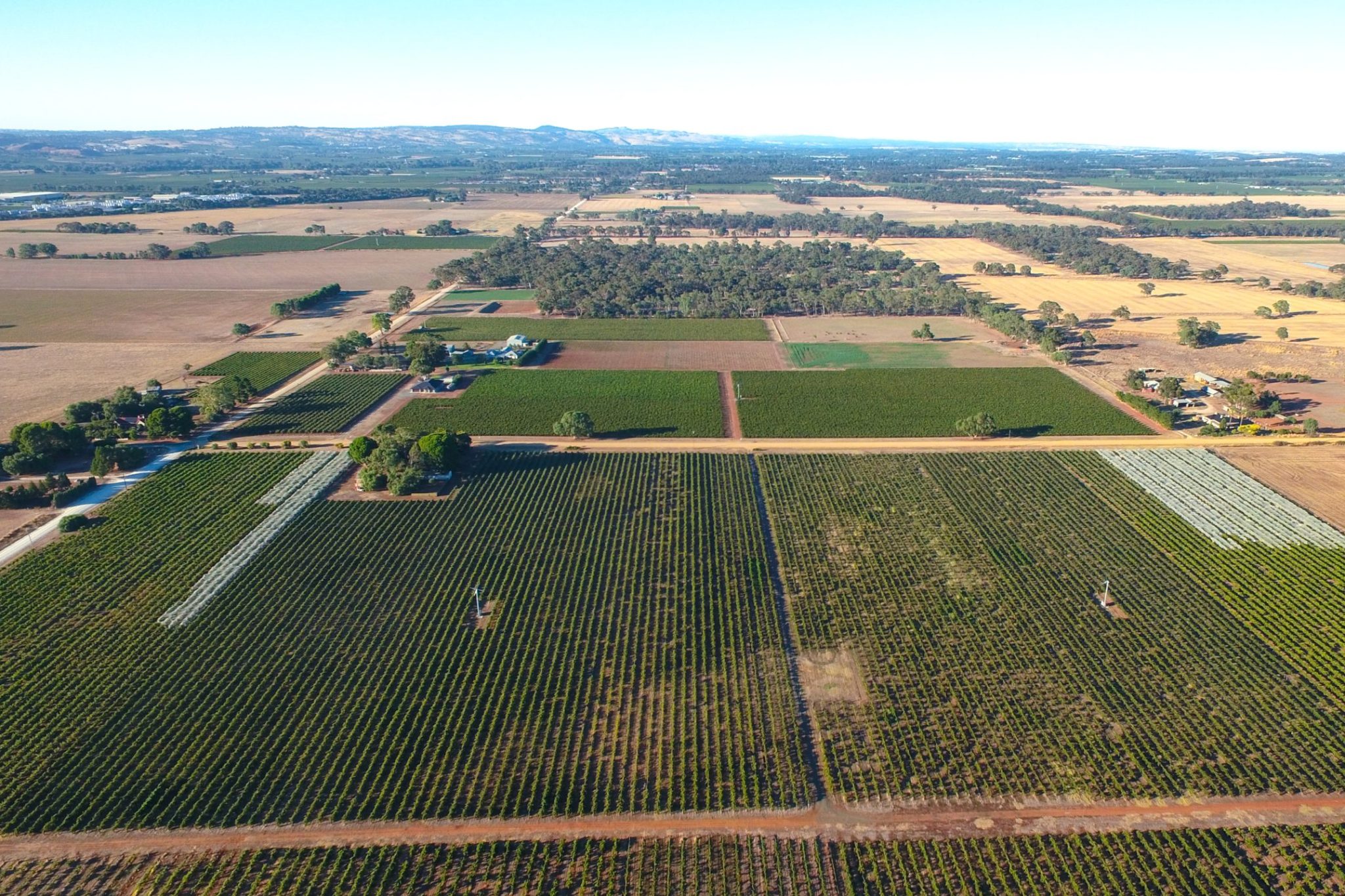 Top Wineries of Australia 2024:John Duval – The Real Review