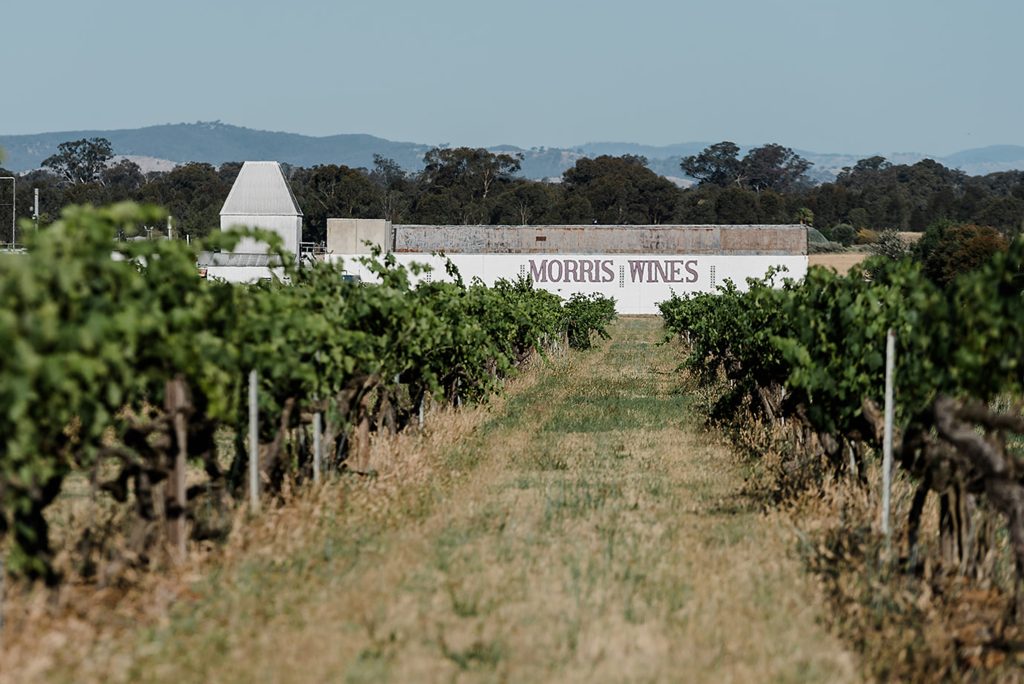 The Real Review Top Wineries of Australia 2023 announced – The Real Review