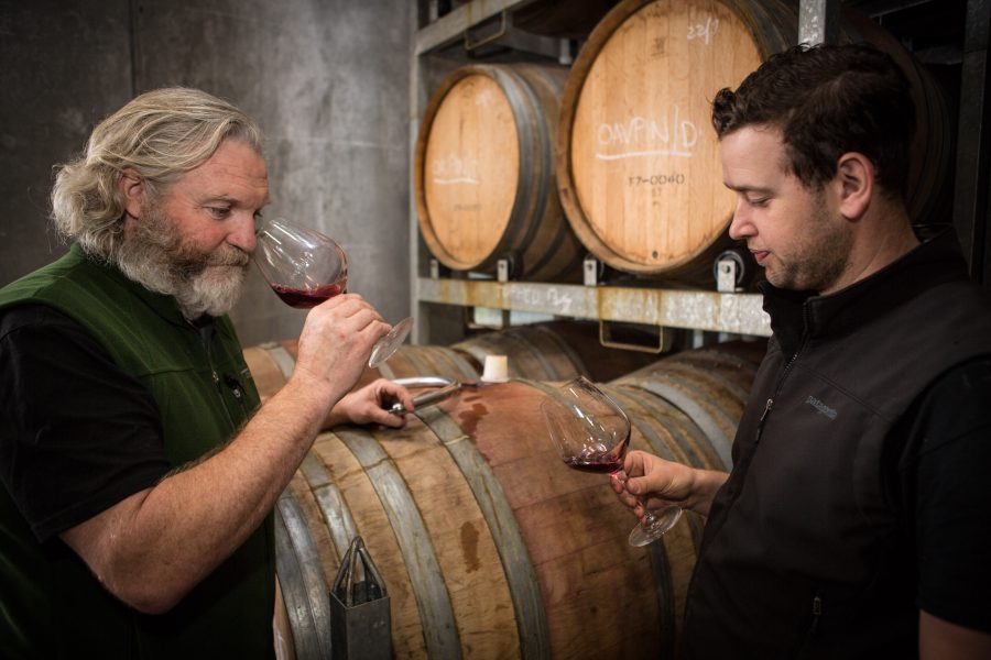 Top Wineries of Australia 2023:Oakridge Wines – The Real Review