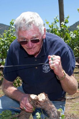 Dr Smart questions Barossa’s hot future – The Real Review