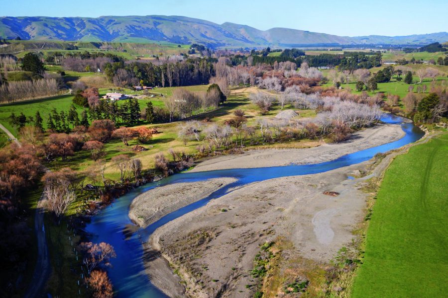 Top Wineries of New Zealand 2023:Dry River Wines – The Real Review