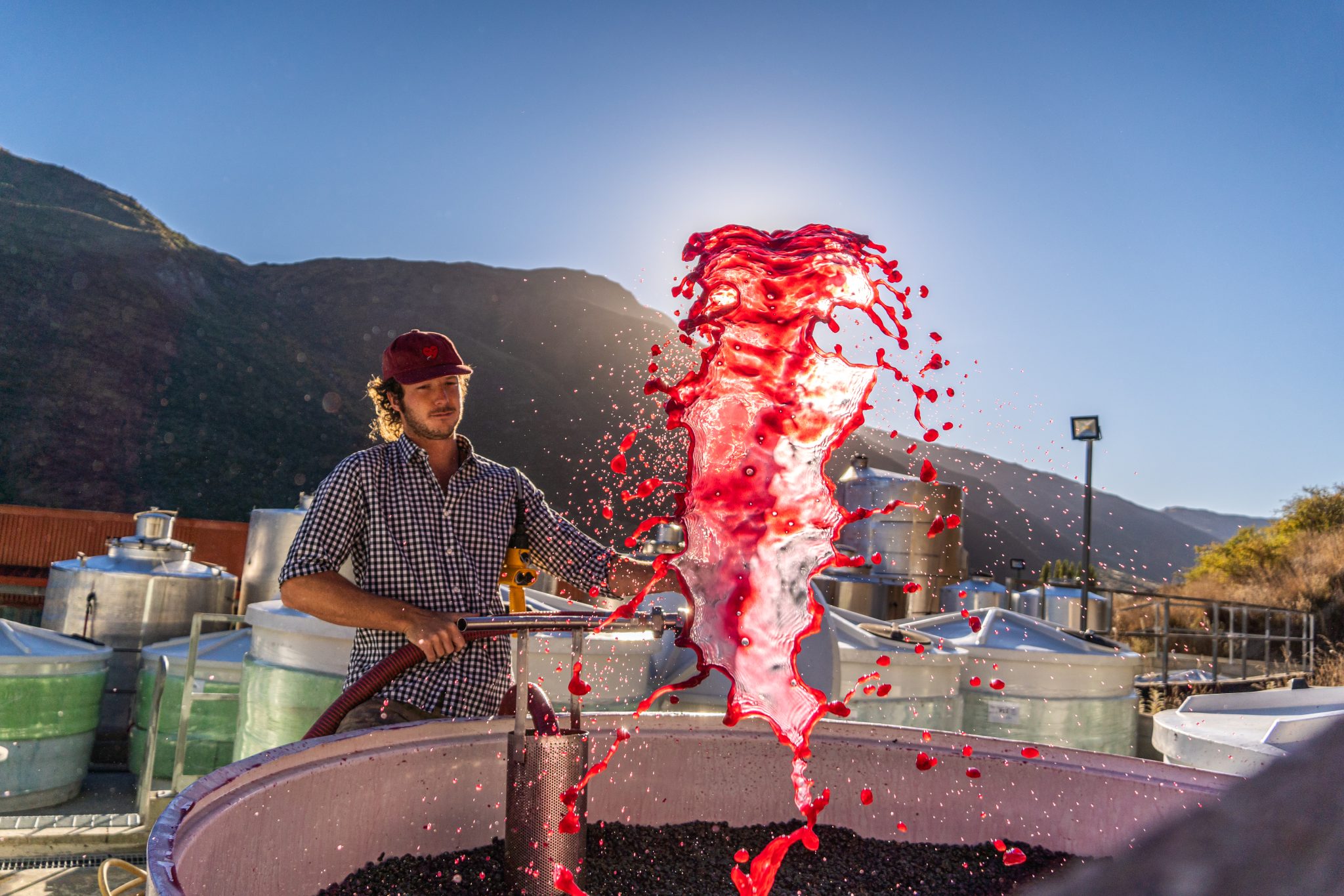 Top Wineries of New Zealand 2023:Gibbston Valley Wines – The Real Review