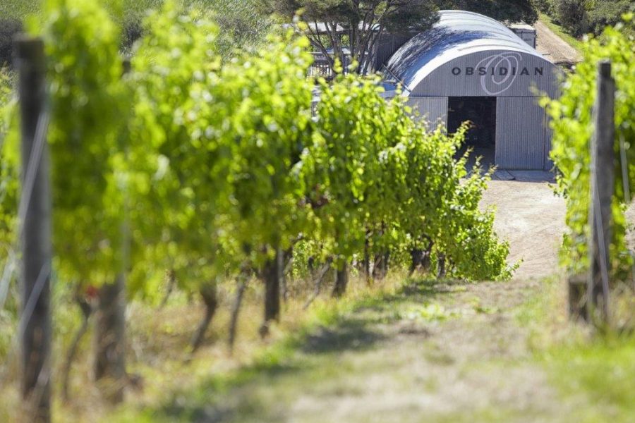 Top Wineries of New Zealand 2023:Obsidian – The Real Review