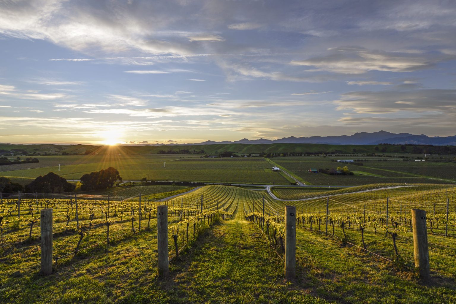 Top Wineries of New Zealand 2023:Greywacke – The Real Review