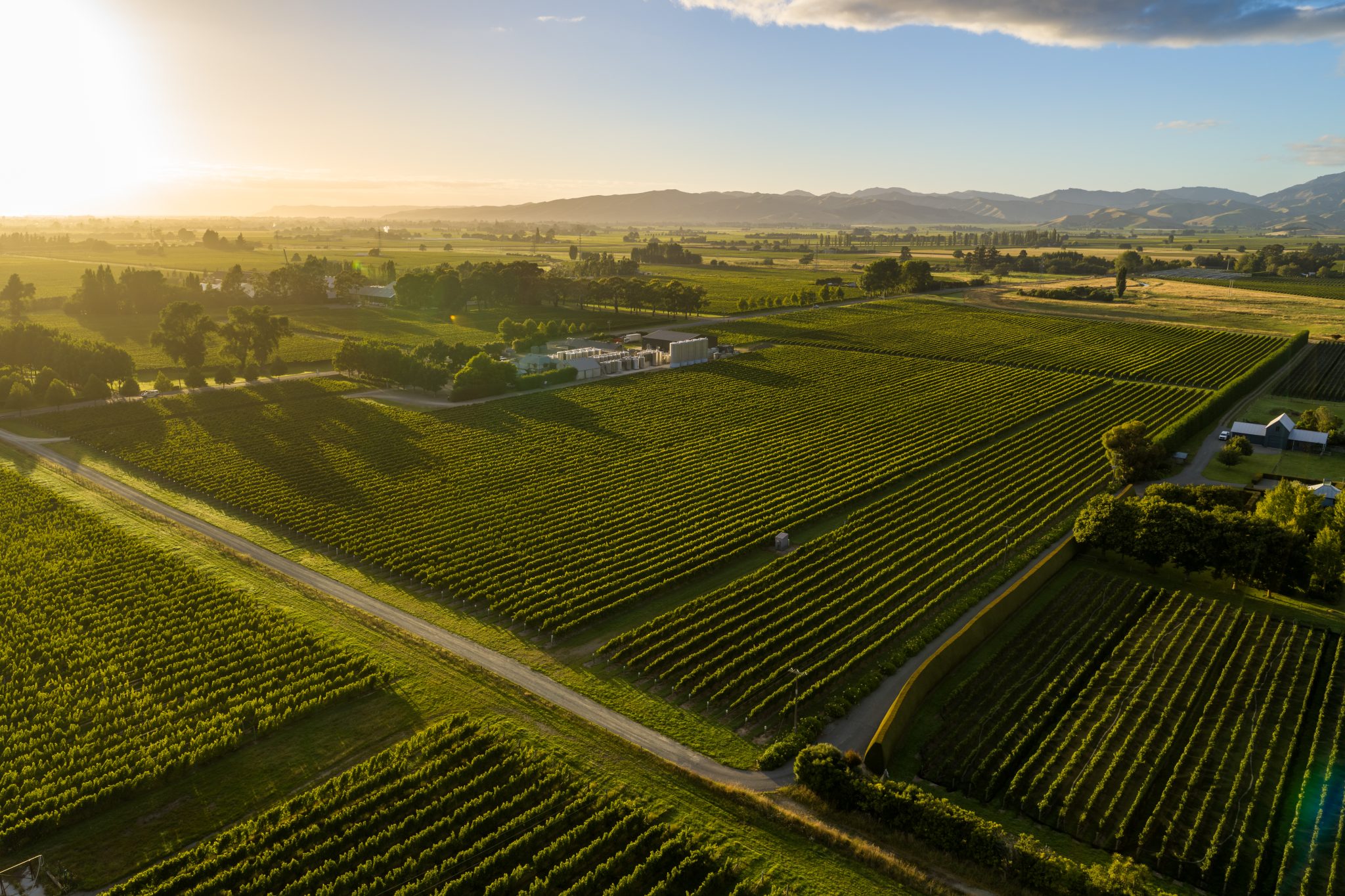 Top Wineries of New Zealand 2023:Allan Scott Family Winemakers – The ...