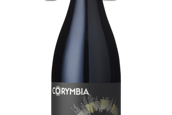 Rocket red – The Real Review