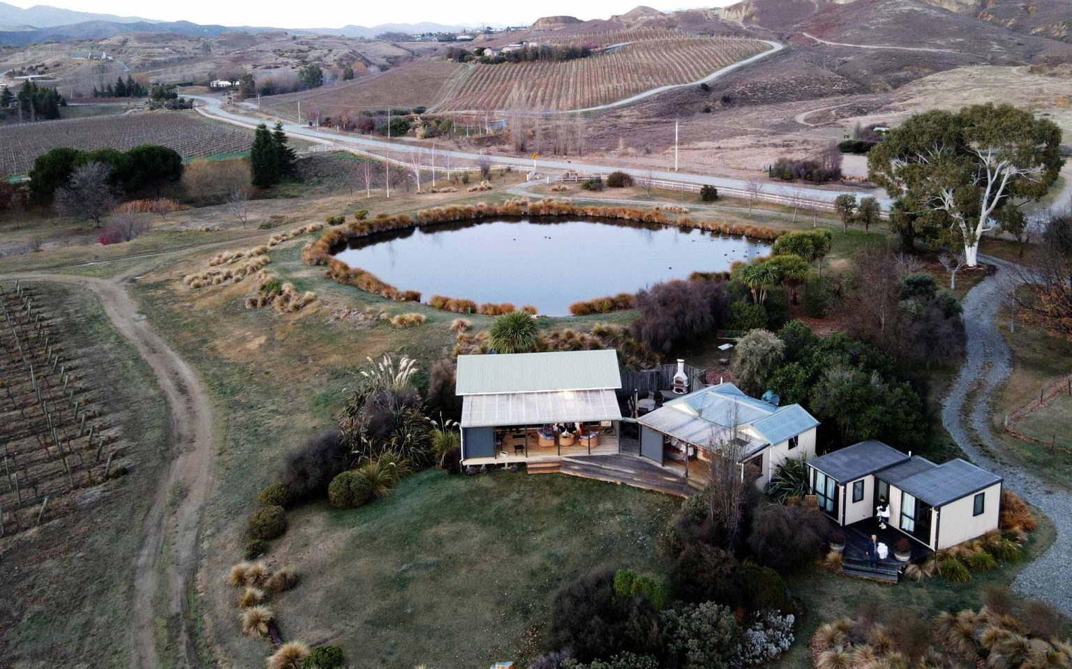 Wine – The Real Review