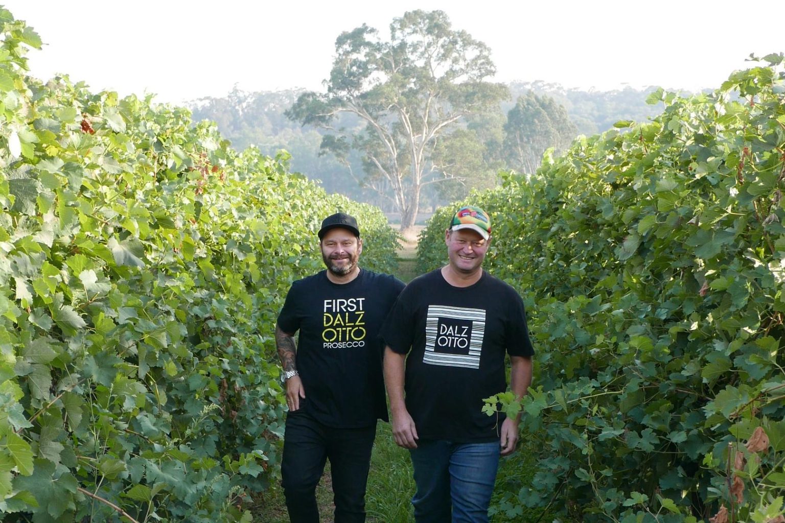 Dal Zotto: prosecco pioneers – The Real Review