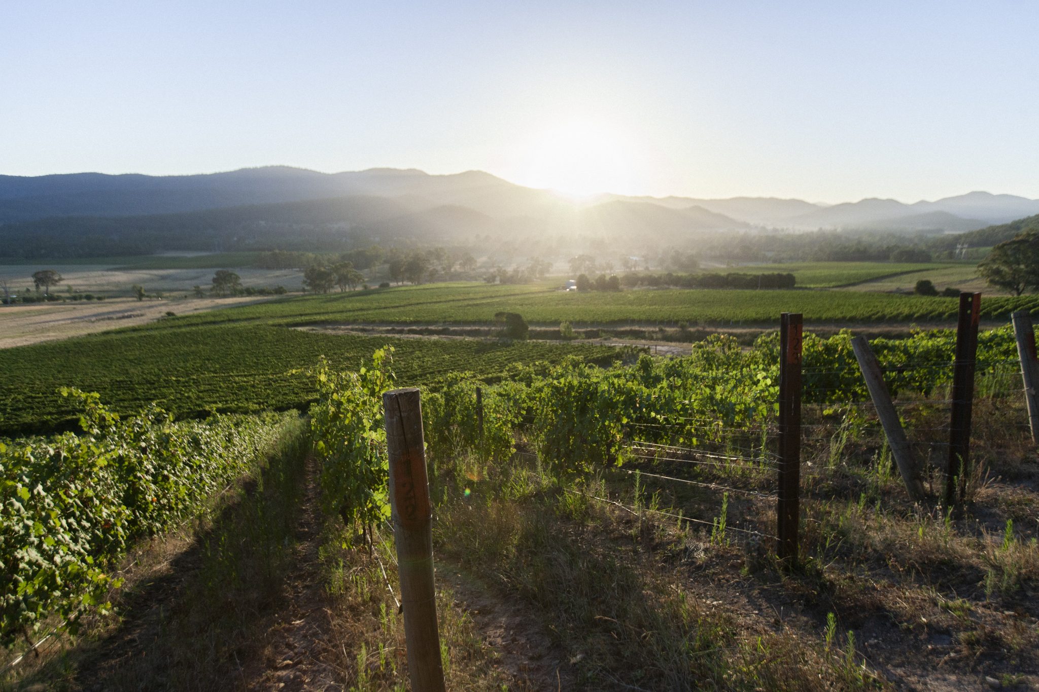 Introduction to the King Valley – The Real Review