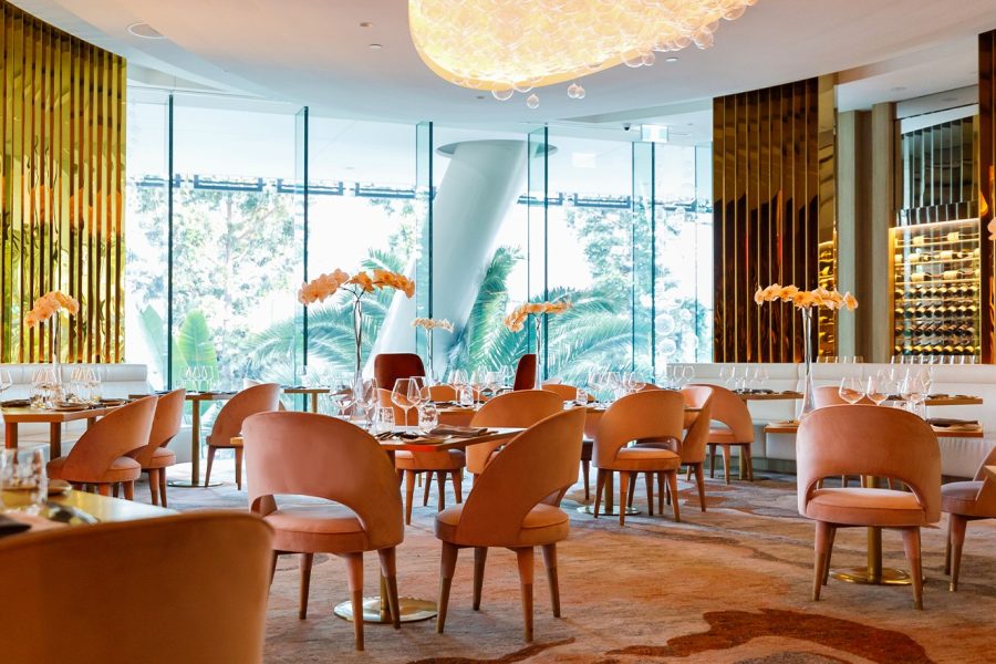 Celebrating shiraz in Brisbane – The Real Review