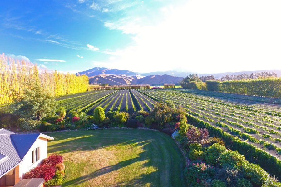 Waitaki wine wonders – The Real Review