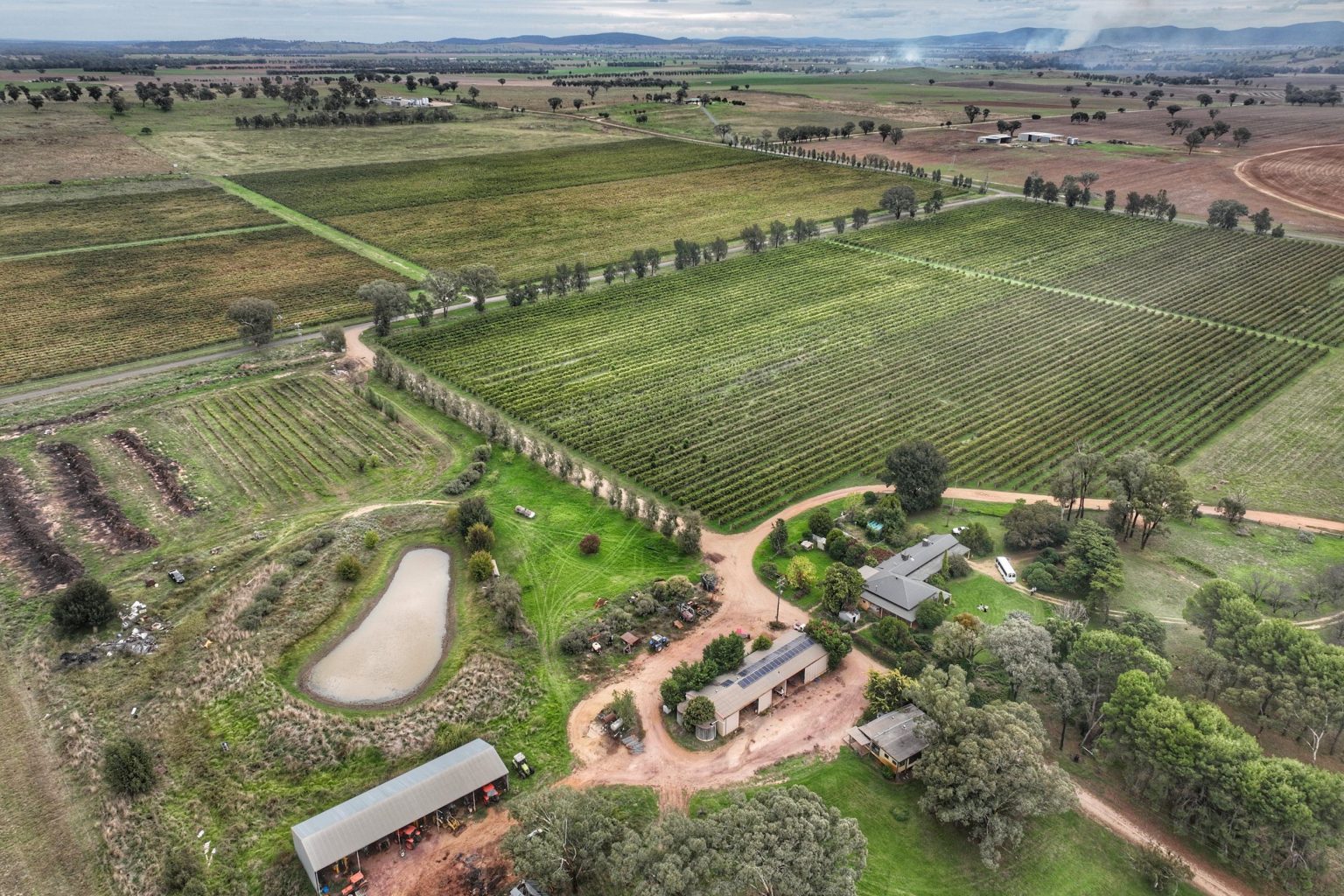 Pick picpoul for something different – The Real Review