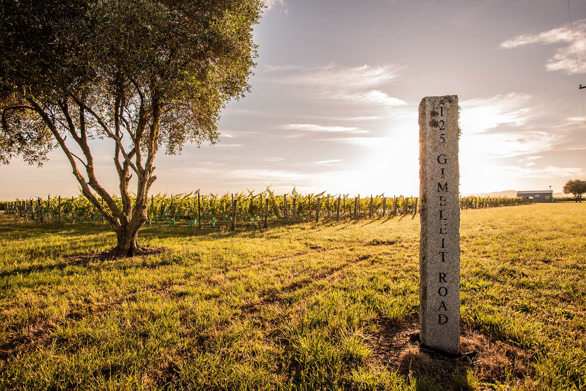 Trinity Hill’s quality focused wines – The Real Review