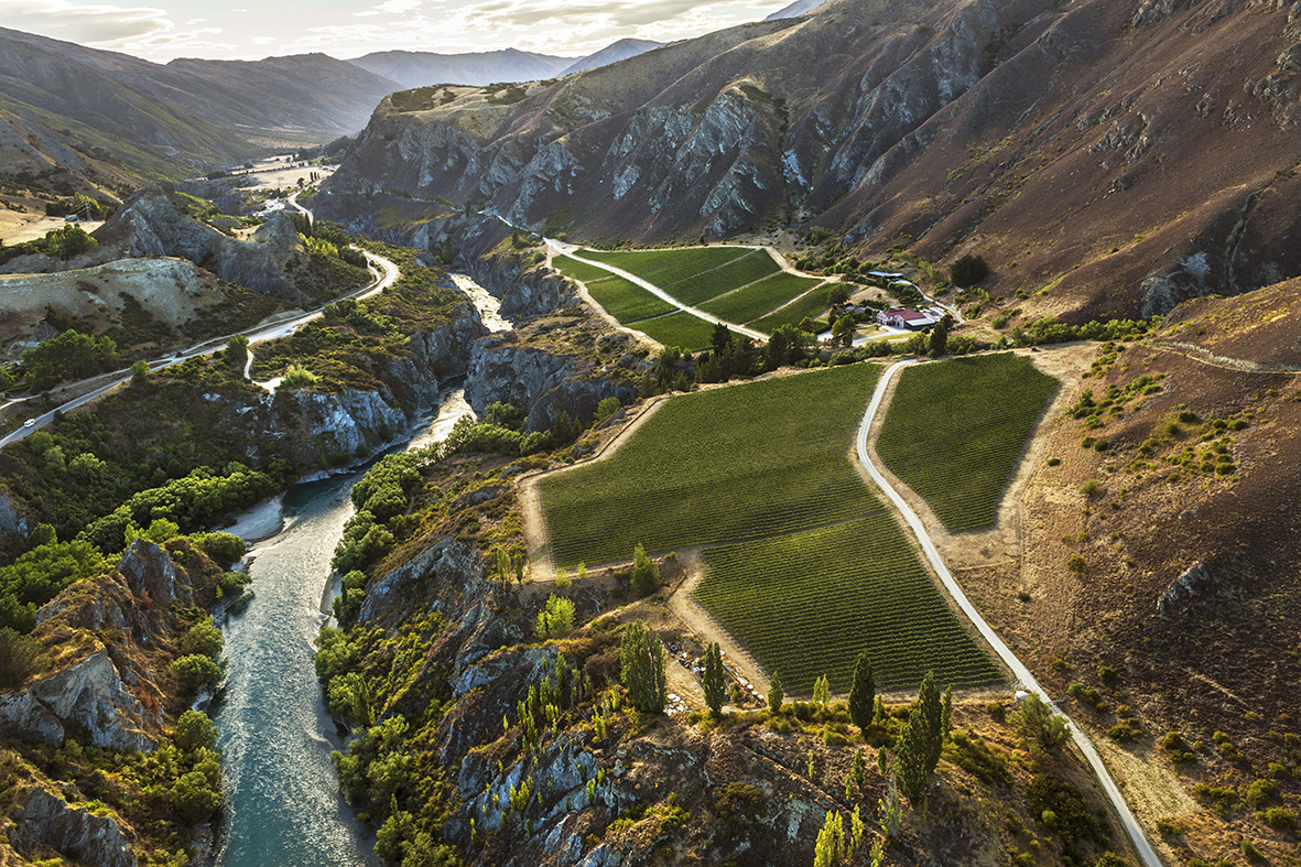 Purity and subtle power from Chard Farm – The Real Review