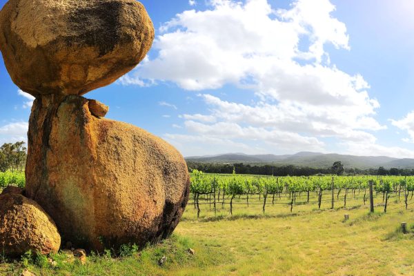 Balancing Heart Vineyard (1) – The Real Review