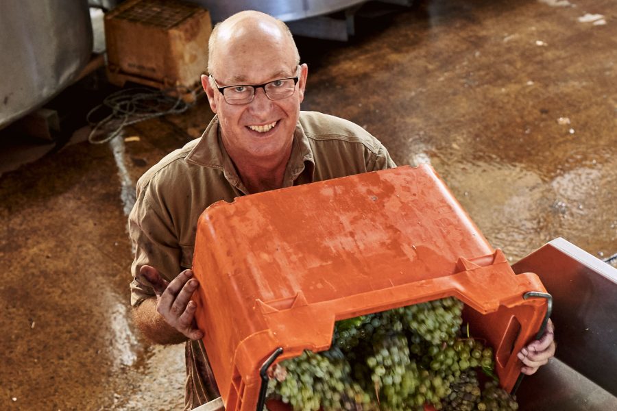 An early vintage in Western Australia – The Real Review