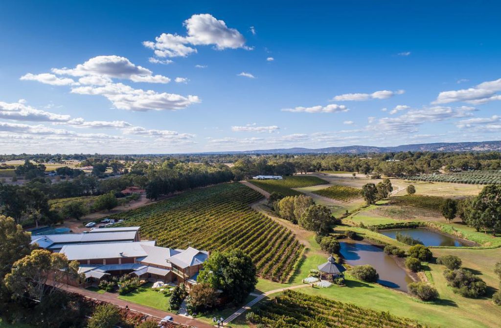 Wine – The Real Review