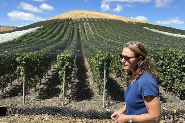 Bell Hill’s impressive ageability – The Real Review