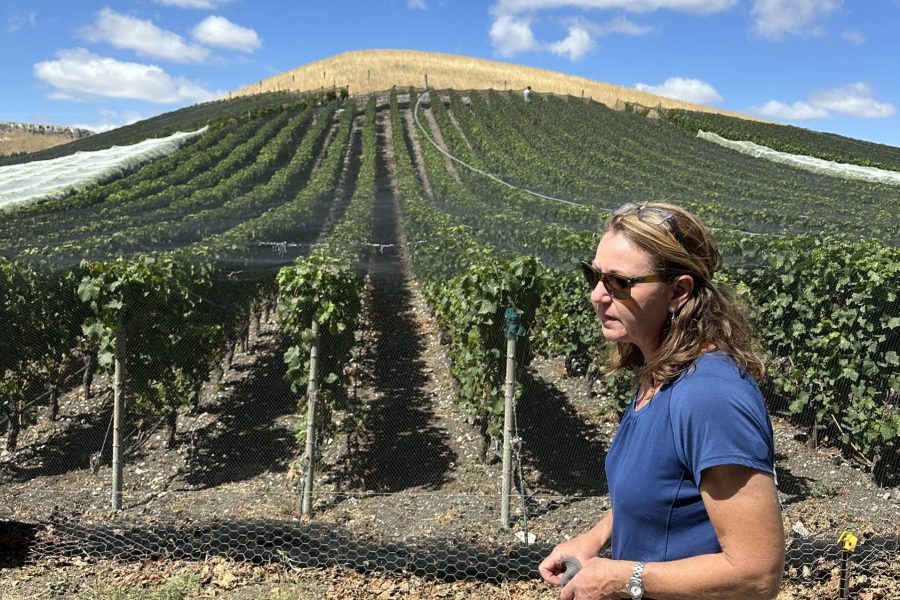 Bell Hill’s impressive ageability – The Real Review